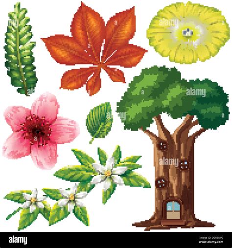 Tree Flowers Drawing Hi Res Stock Photography And Images Alamy