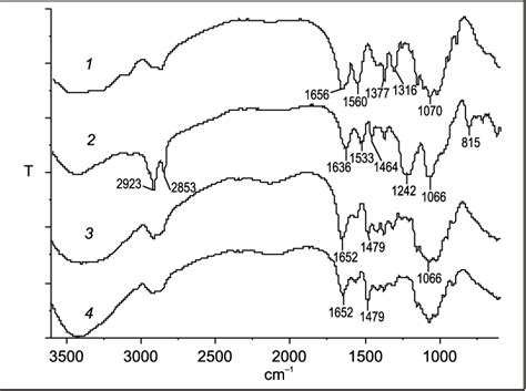 Figure 1 From Quaternization Of Chitosan And Partial Destruction Of The