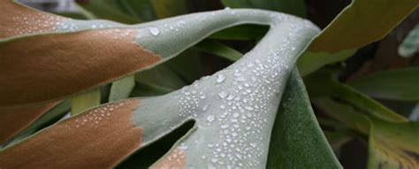 Free Up Space On Windows Nelsonecom S Netbits