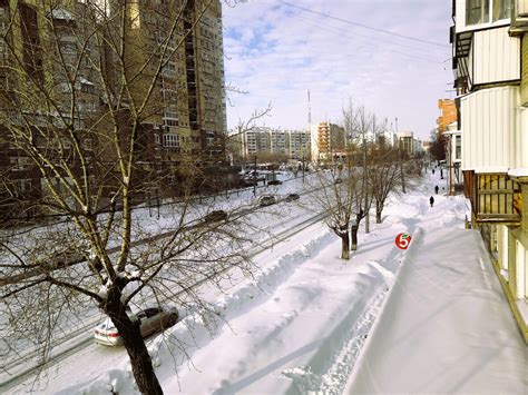 Федюнька нашёл золото с третьего раза Сочельник и Рождественская фотосессия Пуси Julia Gor