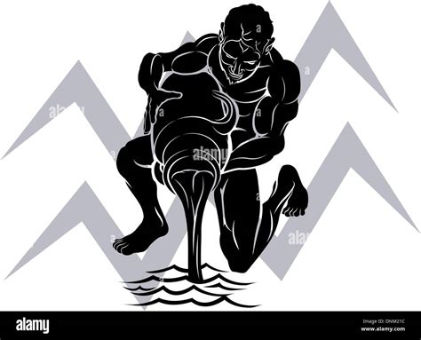 Zodiac Sign Water Bearer 60 Photos
