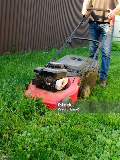 잔디 깎기 한 남자가 해질녘에 잔디 깎는 기계로 푸른 잔디를 깎습니다 여름철에 잔디 깎는 기계와 잔디 깎는 일을 하는 백인