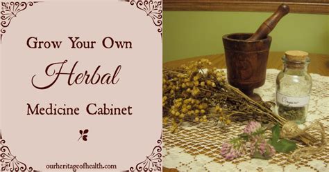 Grow Your Own Herbal Medicine Cabinet Our Heritage Of Health