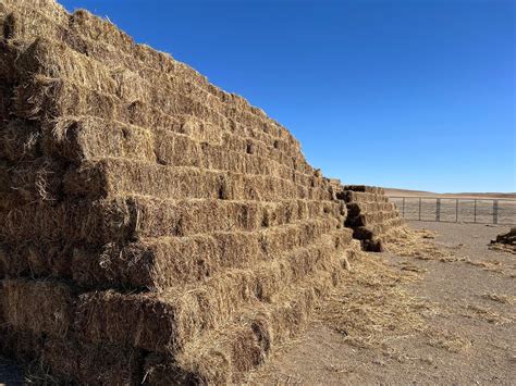 МАЛЧДАД ӨВС ТЭЖЭЭЛИЙГ ЗЭЭЛЭЭР ОЛГОНО