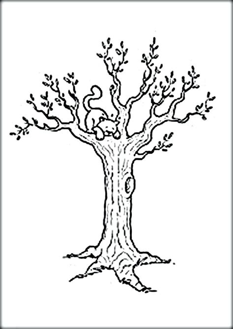 Tree Trunk Coloring Page At GetColorings Com Free Printable Colorings Pages To Print And Color