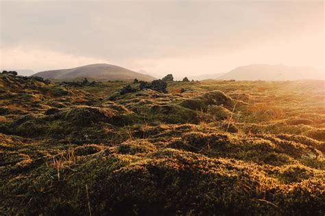 Sliding Header Grid Layout