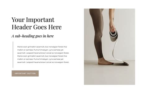 Showit Sales Page Builder Commercial Use Canvas Kit