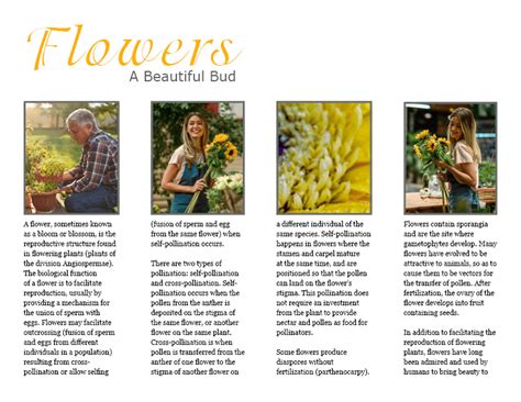 Hierarchy Assignment Correction And Flower Assignment Skillshare