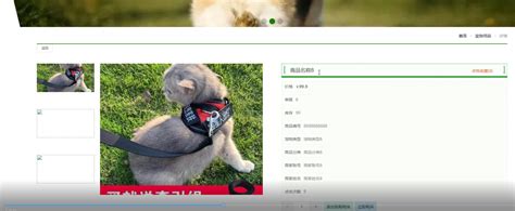 基于数据可视化springbootvue的宠物综合服务平台设计和实现源码论文部署讲解等 Csdn博客