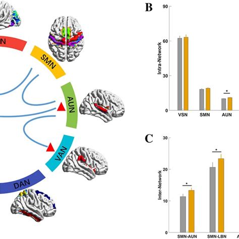 Altered Functional Connectivity Among Nine Brain Networks At Download Scientific Diagram