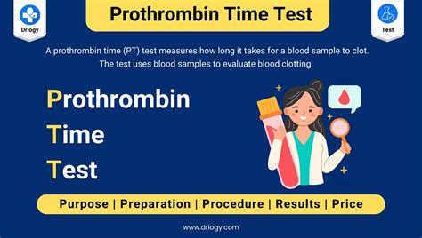 Prothrombin Time Test Purpose Procedure Price And Results Drlogy