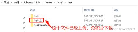Linux笔记2vscode插件remote Wsl远程使用交叉编译工具链全志d1 Hremote Wsl Csdn博客