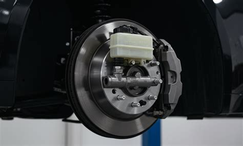 Classification Of Bryophytes By Proskauer 1957 With Simple Diagram