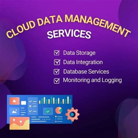 Cloud Data Management Service At ₹ 12000month In New Delhi Id