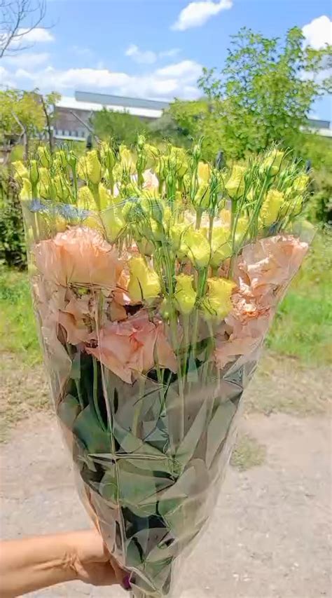 Flowers And More Tbilisi