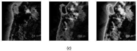 Quadratic Clustering Based Simplex Volume Maximization For Hyperspectral Endmember Extraction