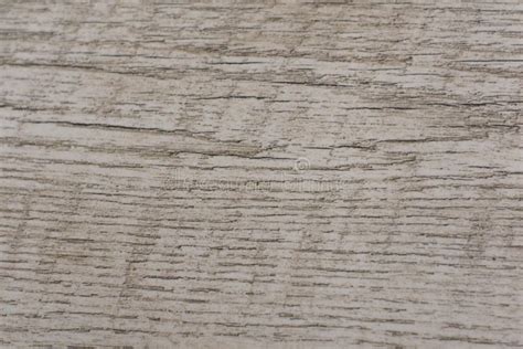 Seamless Beautiful Tree Texture Background In The Interior Stock Image Image Of Fall Design