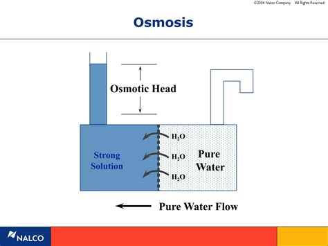 Reverse Osmosis Module PDF Chemistry Science