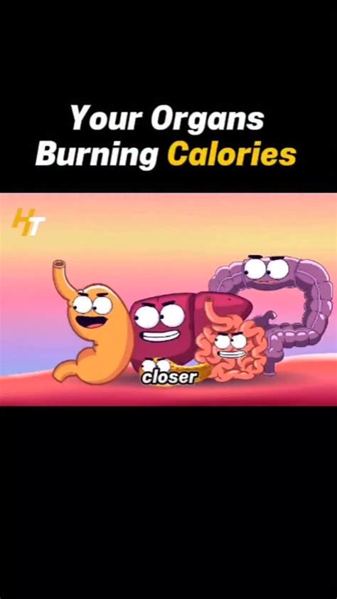 Vore Digestion Animation Art