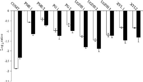 Quantitative Real Time Pcr Qpcr Analysis Of The Relative Transcript