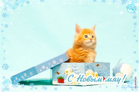 «Новый год в семье котят Новый сценарий в стихах с музыкальным