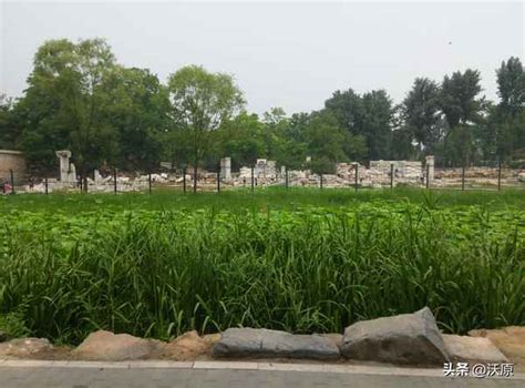 火烧圆明园的观后感600字火烧圆明园观后感800字作文 图画校园 华网