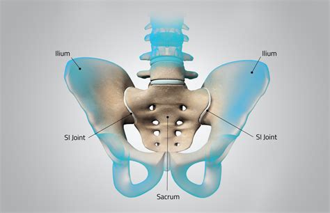 Pelvic Pain Vs Contractions At James Winkel Blog