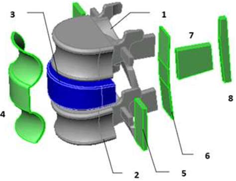 Figure 1 From Solid State 3d Models Of Lumbar Vertebral Segments Semantic Scholar