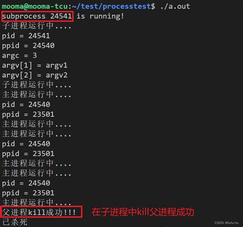 Linux下基于boostprocess库实现多进程管理，基于c开发linux下的boost使用 Csdn博客