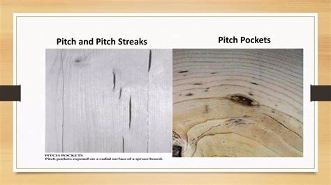 Defects In Wood Pptx