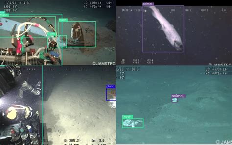 Yolov6 Custom Dataset Training Underwater Trash Detection
