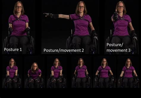 Functional Calibration Used To Align IMU S With The Body Postures Download Scientific Diagram