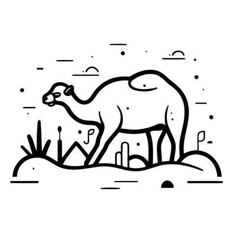 Premium Vector Camel In The Desert Vector Illustration In Flat Linear Style