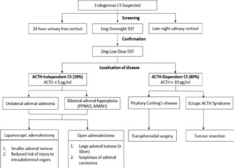 An Algorithm For The Diagnosis And Management Of Cushing S Syndrome Download Scientific
