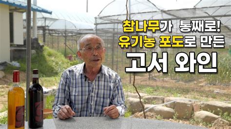 유기농 포도로 만든 고서와인 아침이슬포도원 Youtube