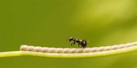 Ant Design Component Customization And Bundle Optimization DEV Community