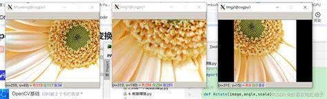 Pytorch进阶学习（三）：在数据集数量不够时如何进行数据增强pytorch数据增强 Csdn博客