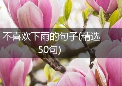 不喜欢下雨的句子 精选50句