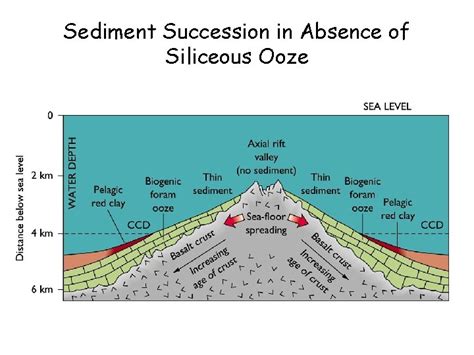 CHAPTER Marine Sediment Classification A Shape Size