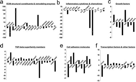 RT 2 Profiler PCR Array To Detect The Expression Of Genes Associated Download Scientific