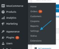 Types Of WooCommerce Issues How To Fix Them WP Swings