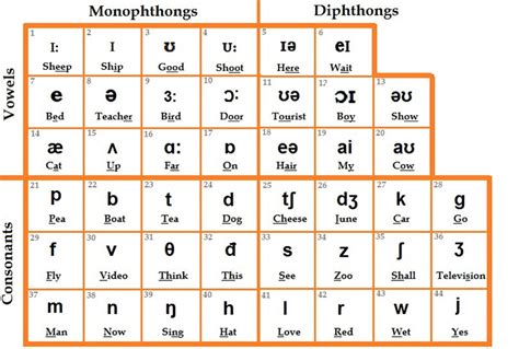 Cách Viết Và đọc Bảng Phiên âm Tiếng Anh Quốc Tế đầy đủ Nhất