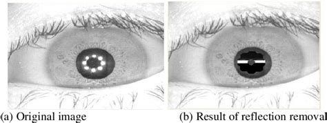 Figure 8 From New Corneal Reflection Removal Method Used In Iris Recognition System Semantic