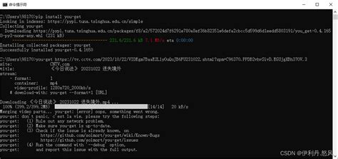 下载CCTV视频并合并成视频文件 cctv视频下载python CSDN博客