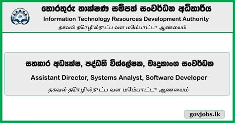 Assistant Director Systems Analyst Software Developer Information