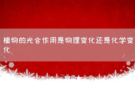 植物的光合作用是物理变化还是化学变化 234百科