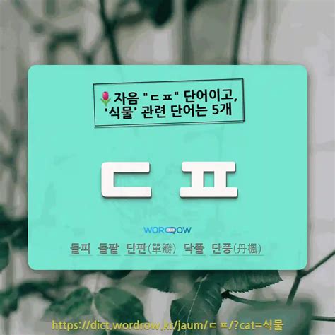 국어사전에서 🌷자음 ㄷㅍ 단어이고 식물 관련 단어는 5개