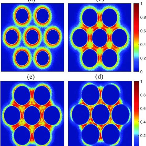 Schematic Views Of Lysozyme Distribution Between F Actins Large