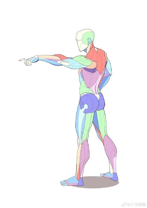 Pin By Wittawin Rattanaumaporn On การวาดรูปร่าง In 2024 Human Anatomy Drawing Anatomy