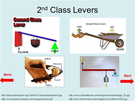 Is A Door A Second Class Lever At William Foxworth Blog